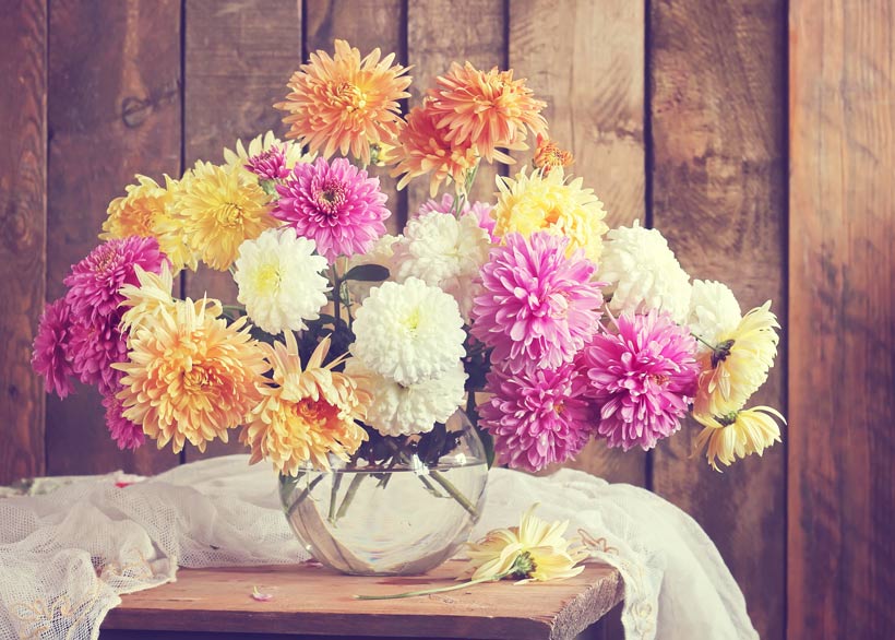 Bienfaits beauté des fleurs de saison : À chaque saison, sa fleur